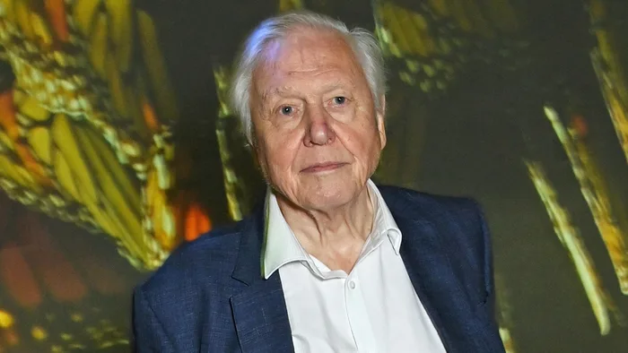 David Attenborough says he is ‘approaching the end of his life’ - Her.ie